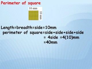 Perimeter and area 1 | PPTX
