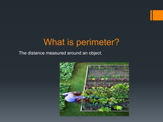 Perimeter and area revised | PPTX