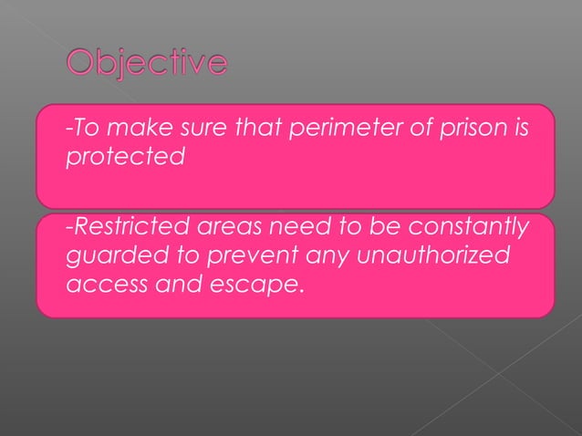 Perimeter control for prison | PPT
