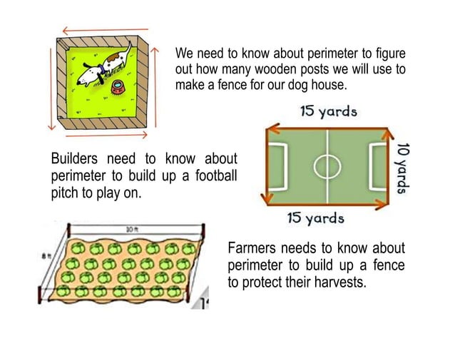 Concept of Perimeter | PPTX