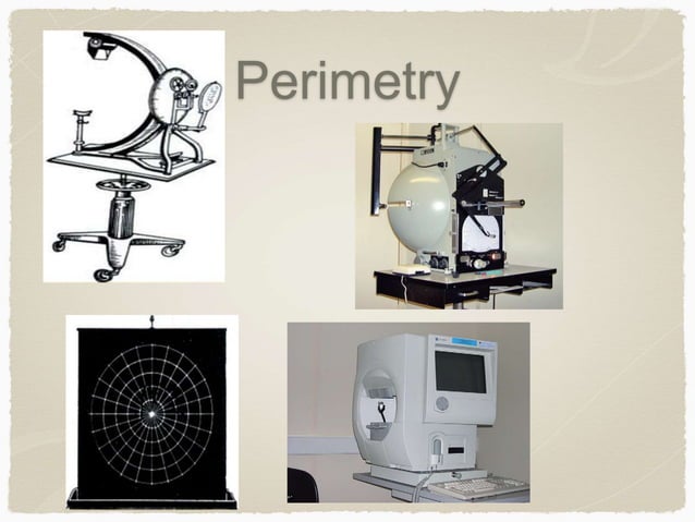 Perimetry | PPTX | Eye and Vision Conditions | Diseases and Conditions