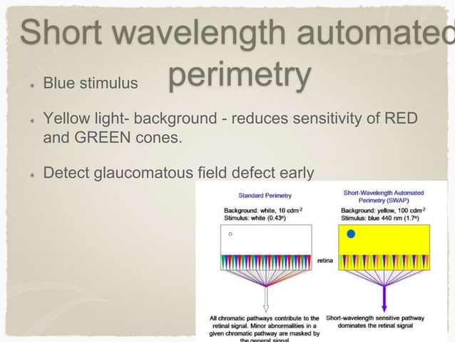 Perimetry | PPTX | Eye and Vision Conditions | Diseases and Conditions