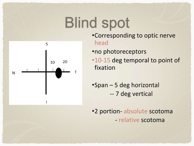 Perimetry | PPTX | Eye and Vision Conditions | Diseases and Conditions
