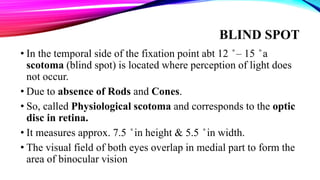 Perimetry & Effects of lesions at different levels of VISUAL PATHWAY ...