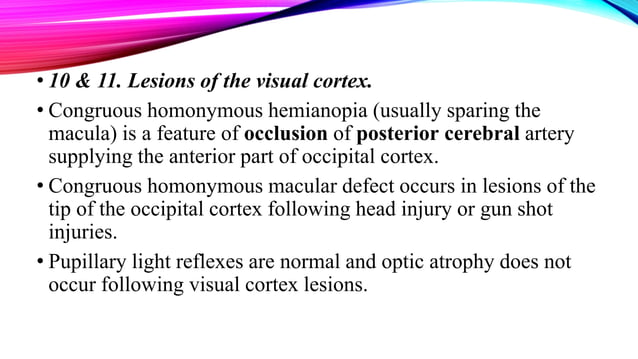Perimetry & Effects of lesions at different levels of VISUAL PATHWAY ...