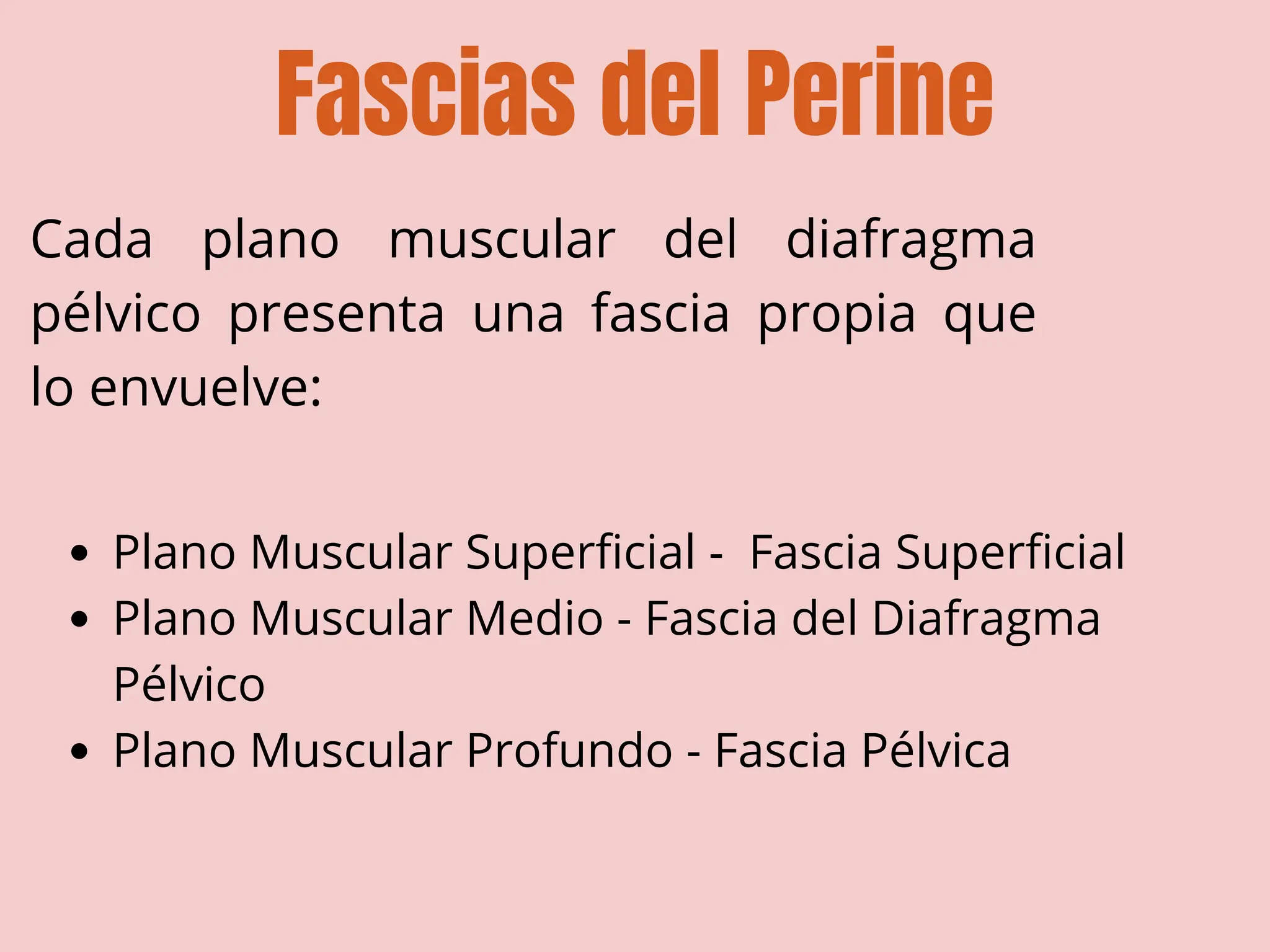 periné masculino 130909174450-.pdf.pdfpds | PDF