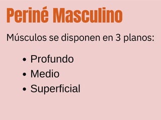 periné masculino 130909174450-.pdf.pdfpds | PDF