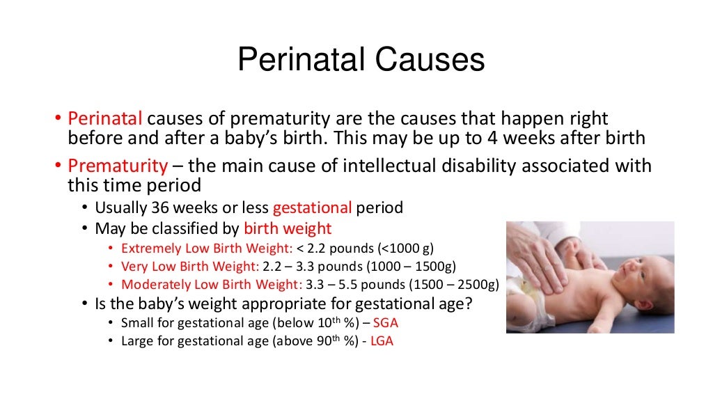 Perinatal And Postnatal Causes Of Intellectual Disabilities Chapter 2 perinatal-and-postnatal-causes-of-intellectual-disabilities-chapter-2