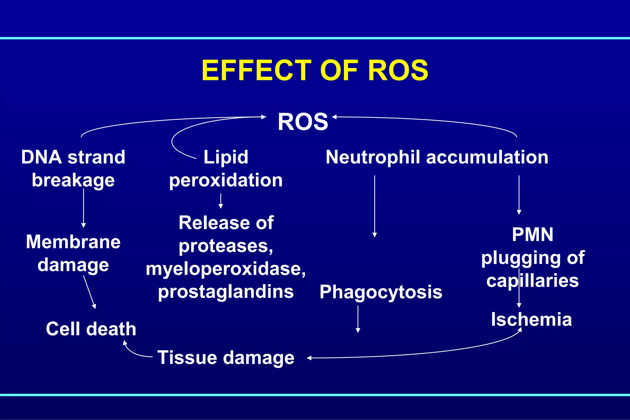 Perinatalasphyxia 120612010809-phpapp02 | PPT