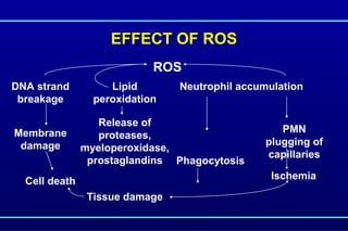 Perinatalasphyxia 120612010809-phpapp02 | PPT