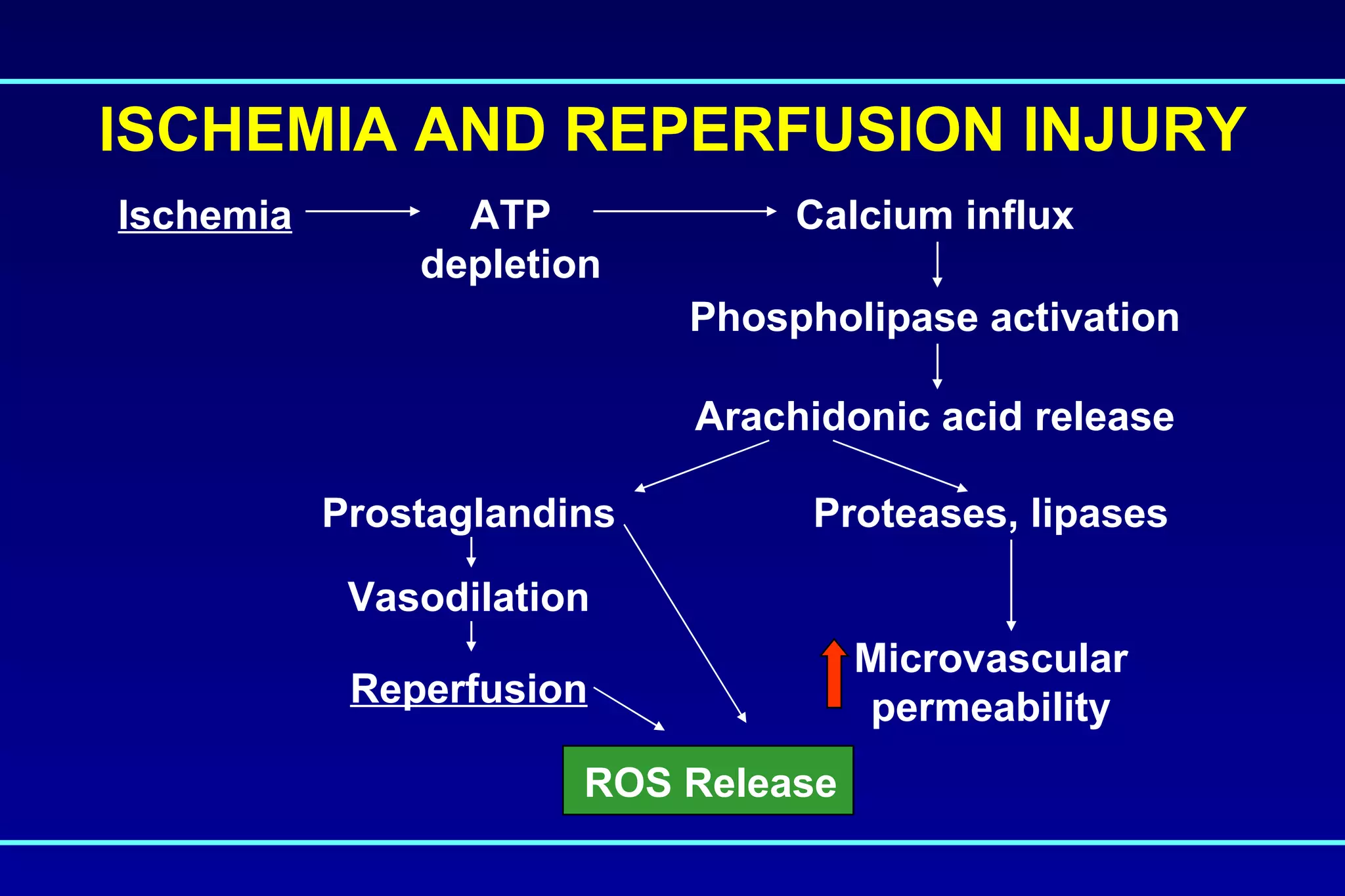 Perinatal asphyxia | PPT