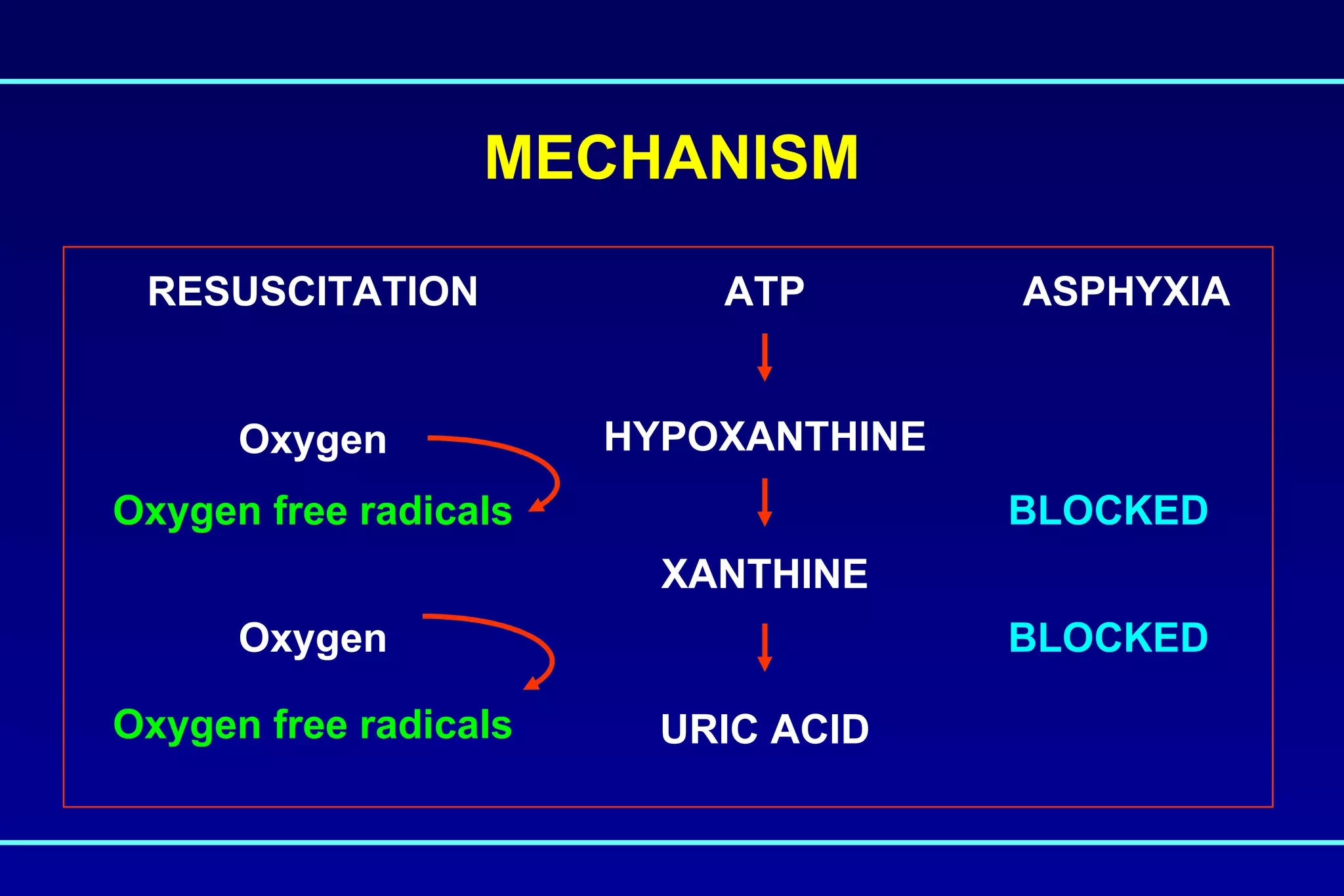 Perinatal asphyxia | PPT