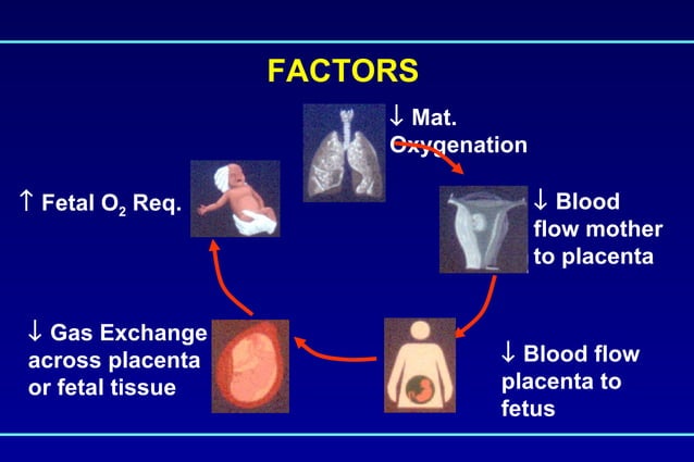 Perinatal asphyxia | PPT | Pregnancy | Reproductive Health
