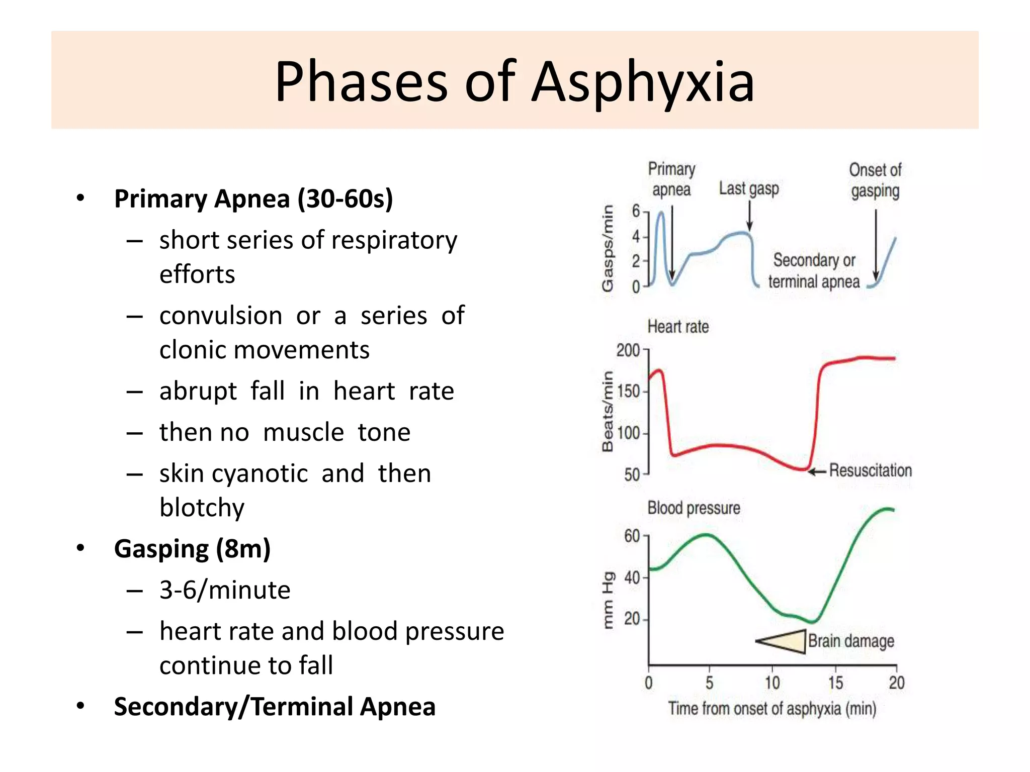 Perinatal asphyxia | PPTX