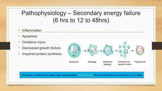 Perinatal Asphyxia in neonates with cause and management | PPTX