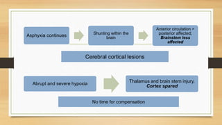 Perinatal Asphyxia in neonates with cause and management | PPT