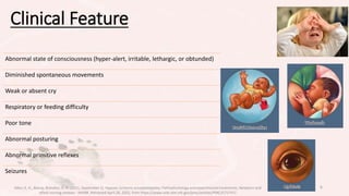 Perinatal Asphyxia & Hypoxic Ischemic Encephalopathy.pptx