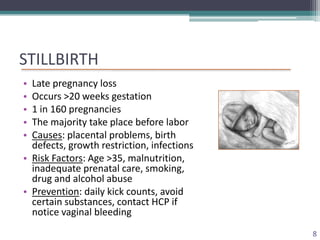 Perinatal Loss And Grief | PPT