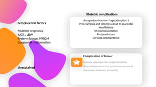 perinatal mortalit.pptx THEORY CLASS FOR UNDERGRADUATES | PPT