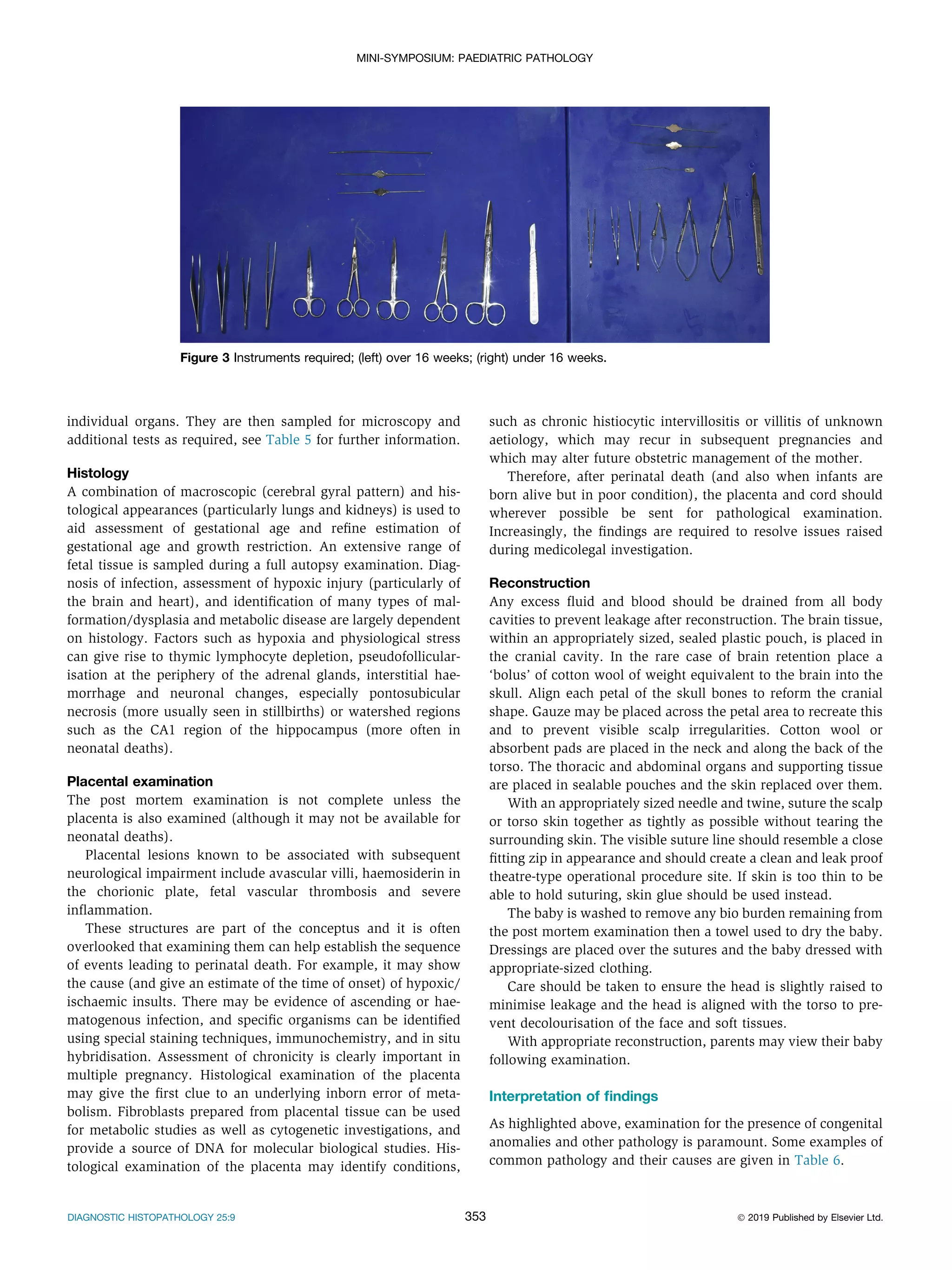 Perinatal pathology | PDF