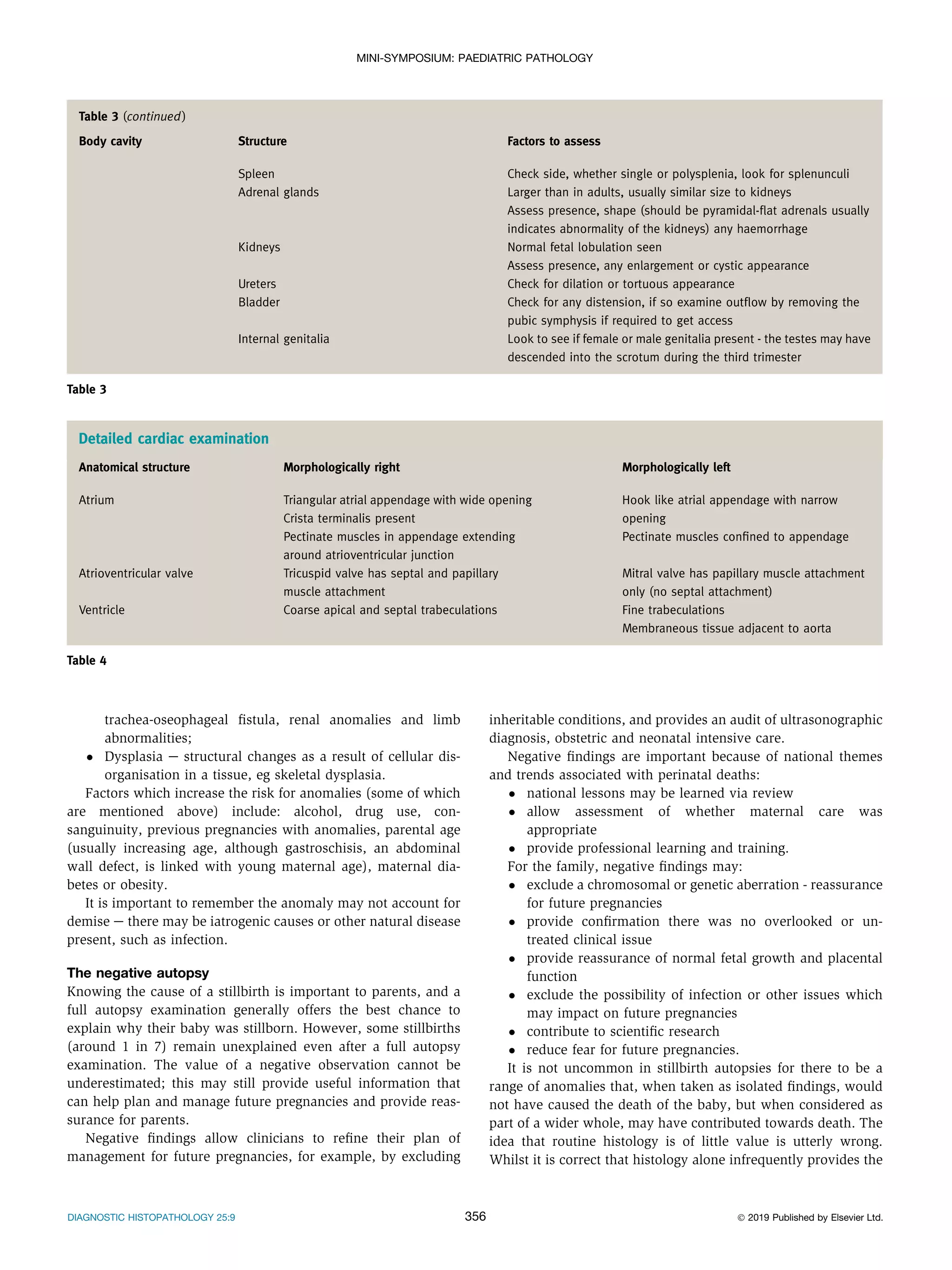 Perinatal pathology | PDF