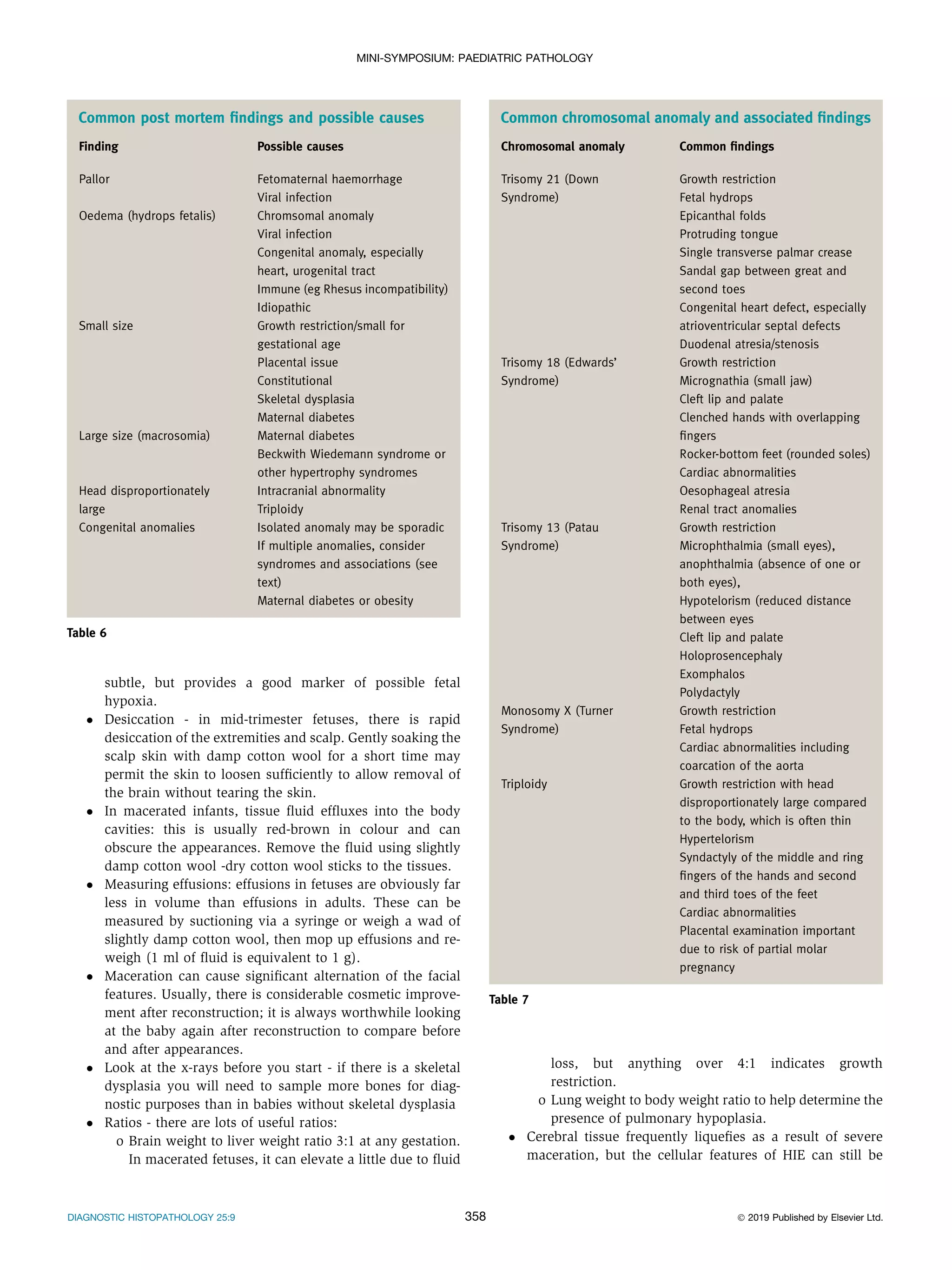 Perinatal pathology | PDF