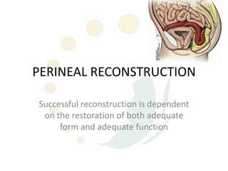 Inverted Y Perineal Incision Deepened Through