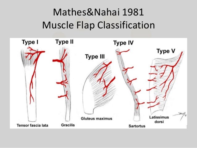 Perineal reconstruction