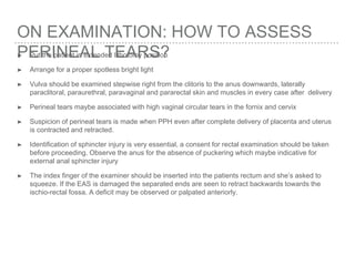 RISK FACTORS,EVALUATION AND MANAGEMENT OF PERINEAL TEARS | PPT