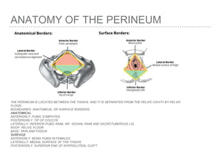 RISK FACTORS,EVALUATION AND MANAGEMENT OF PERINEAL TEARS | PPTX