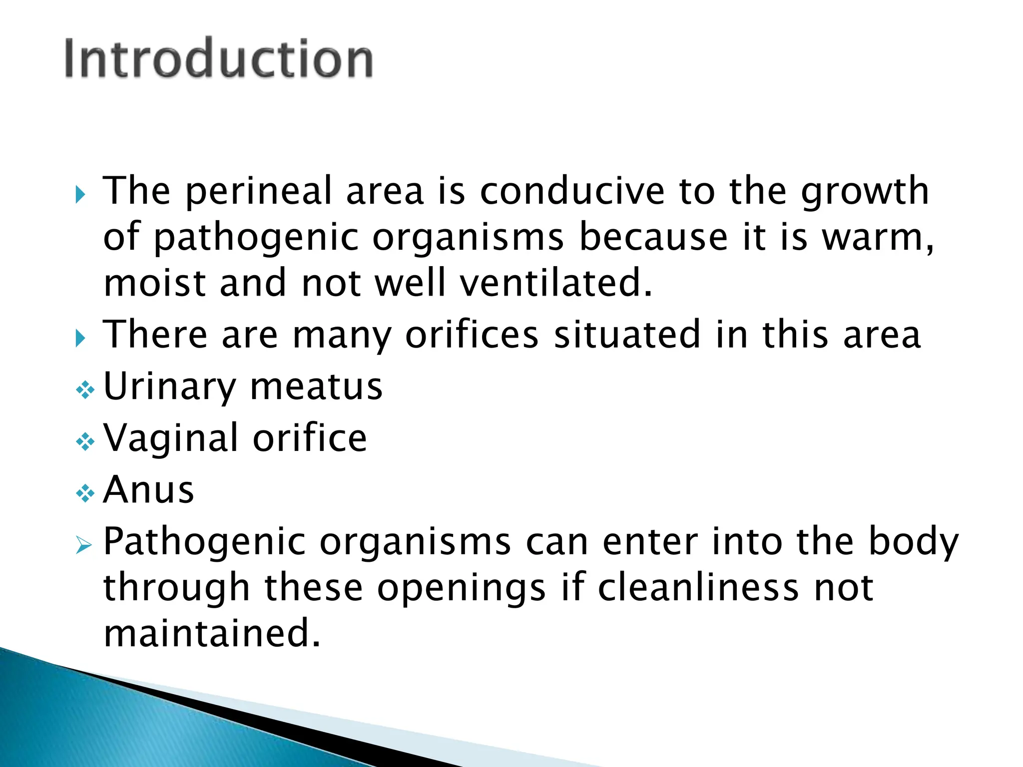 maternal nursing /imp Perineal care.pptx