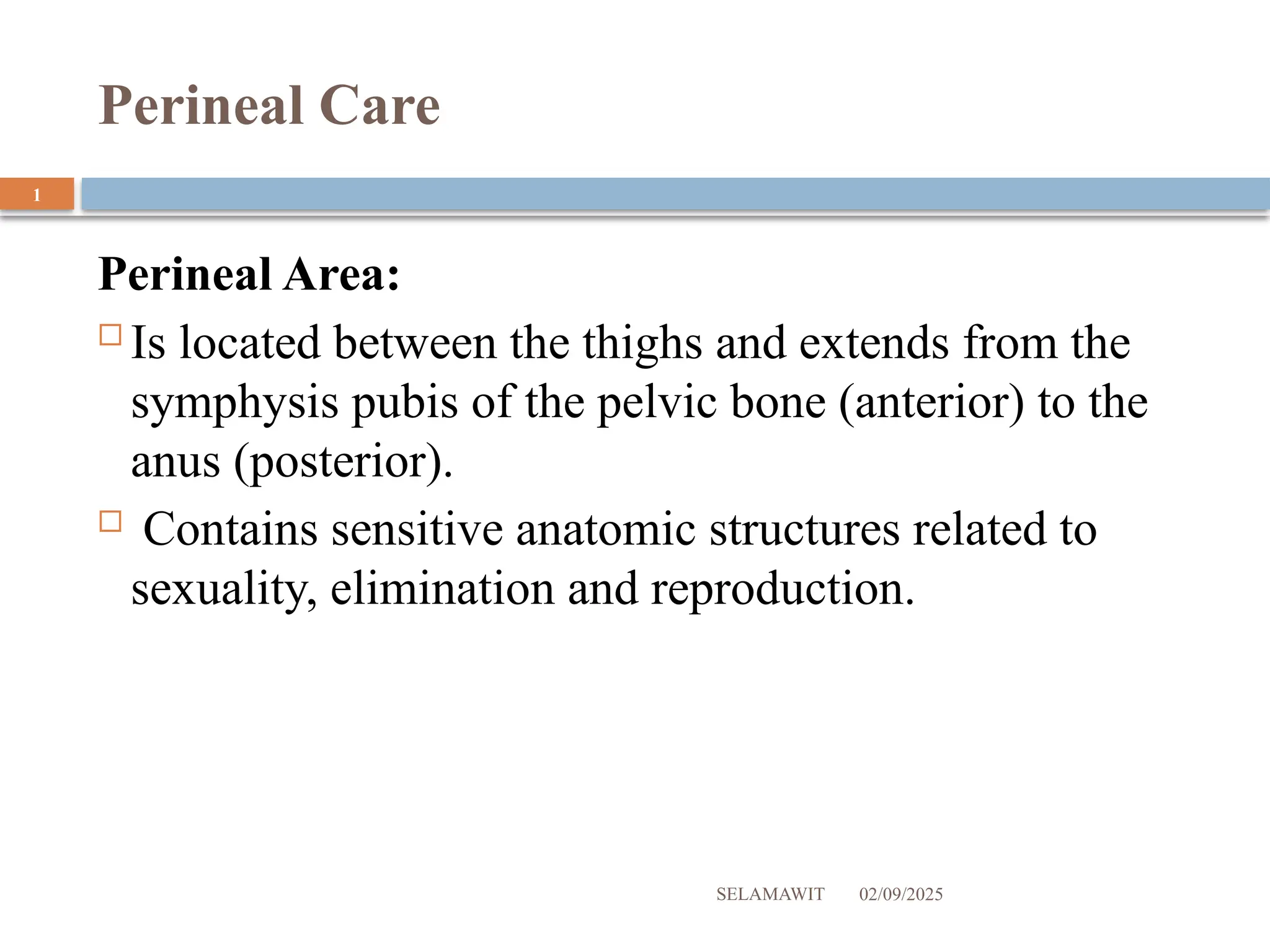 Perineal Care presentation power point .pptx