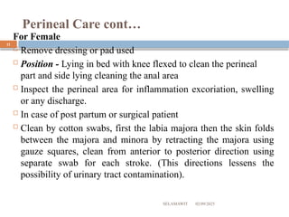 Perineal Care presentation power point .pptx