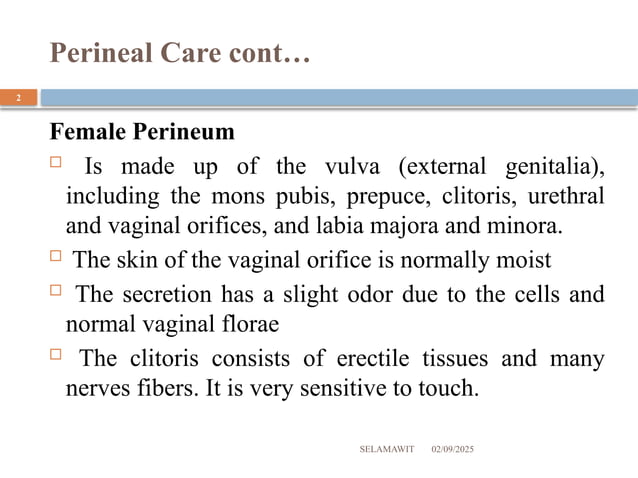 Perineal Care presentation power point .pptx