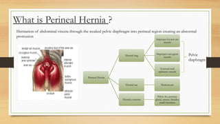 Perineal Hernia in dog with prostate hyperplasia.pptx