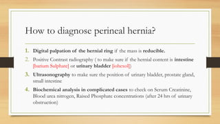 Perineal Hernia in dog with prostate hyperplasia.pptx