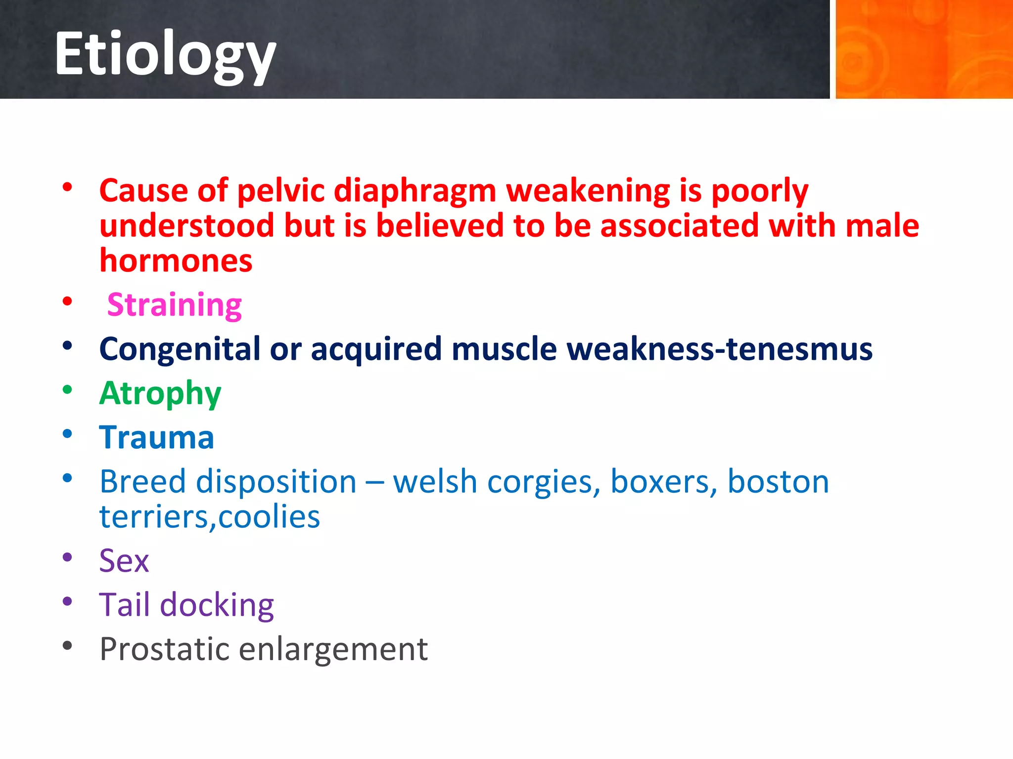 Perineal hernia in dogs | PPT | Digestive Disorders | Diseases and ...