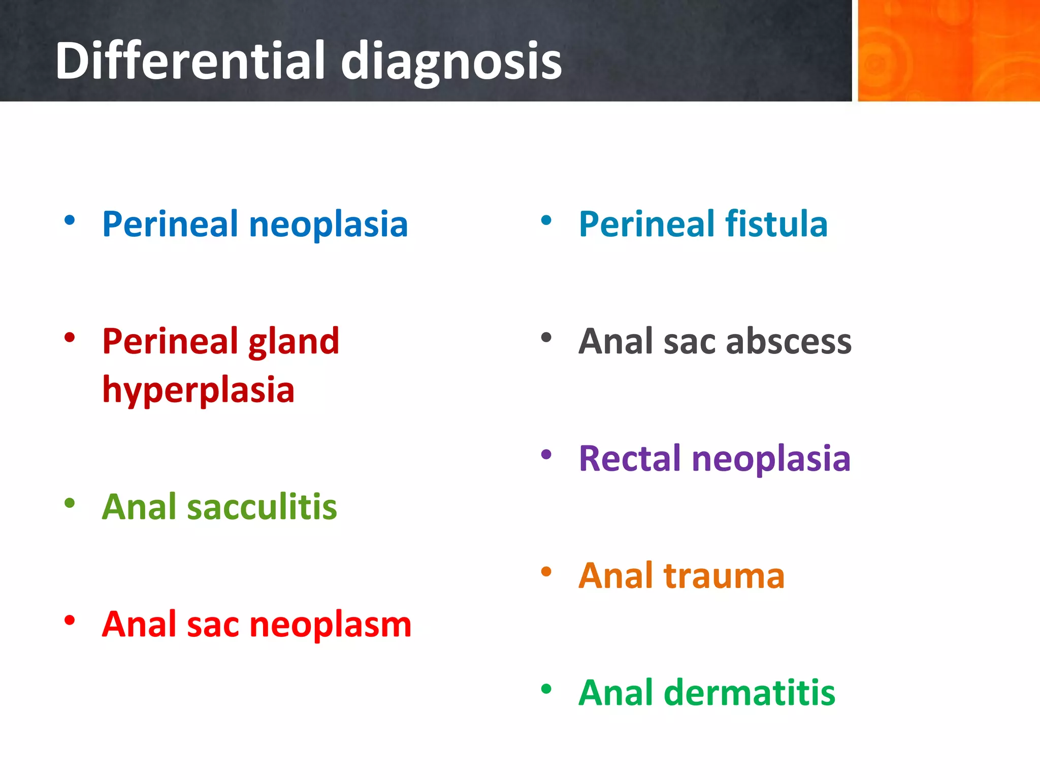 Perineal hernia in dogs | PPT
