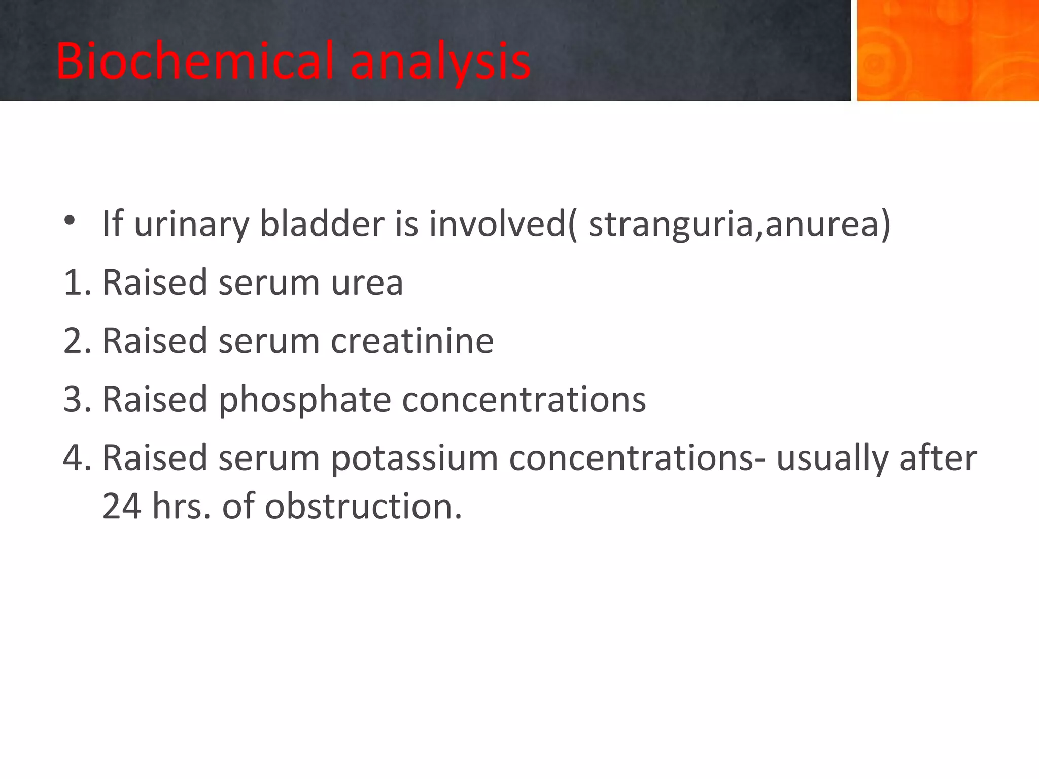 Perineal hernia in dogs | PPT