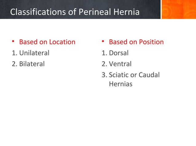 Perineal hernia in dogs | PPT | Digestive Disorders | Diseases and ...