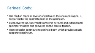 Perineal Injuries presentations for Doctors.pptx
