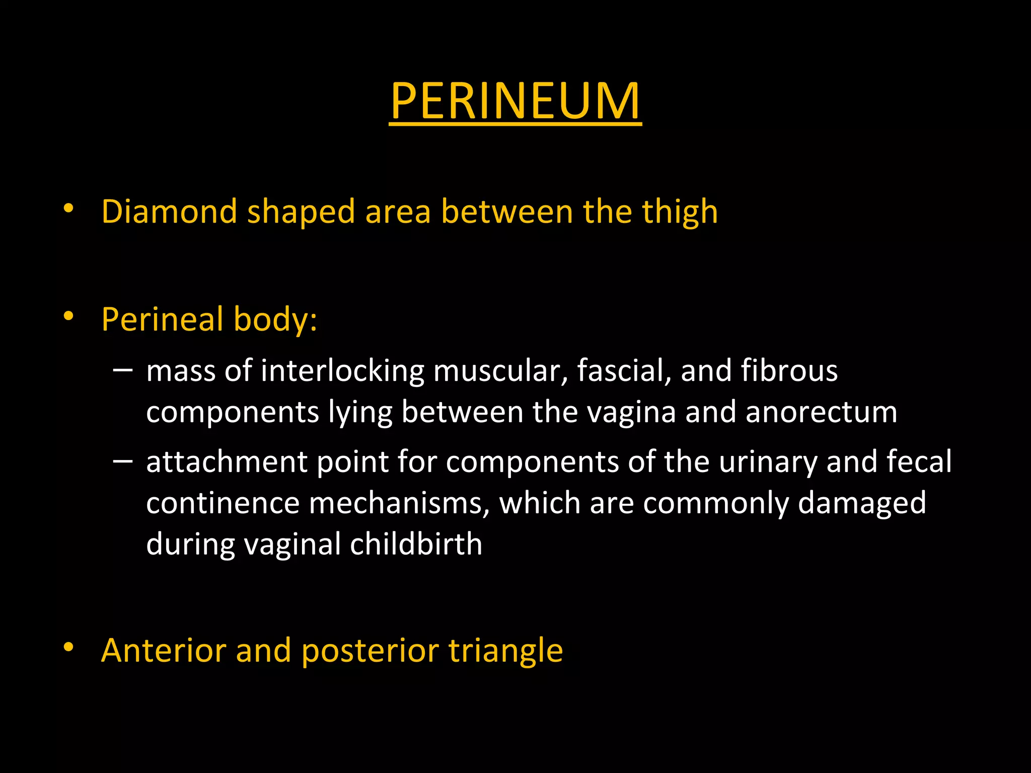 Perineal injury and episiotomy | PPT