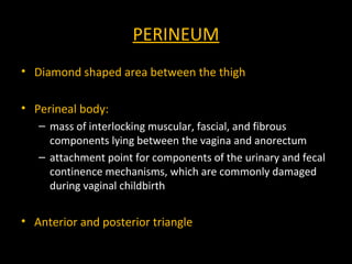 Perineal injury and episiotomy | PPT
