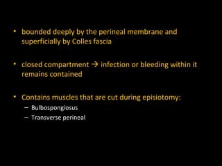 Perineal injury and episiotomy | PPT