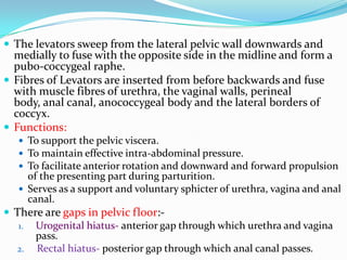 Perineal lacerations | PPTX