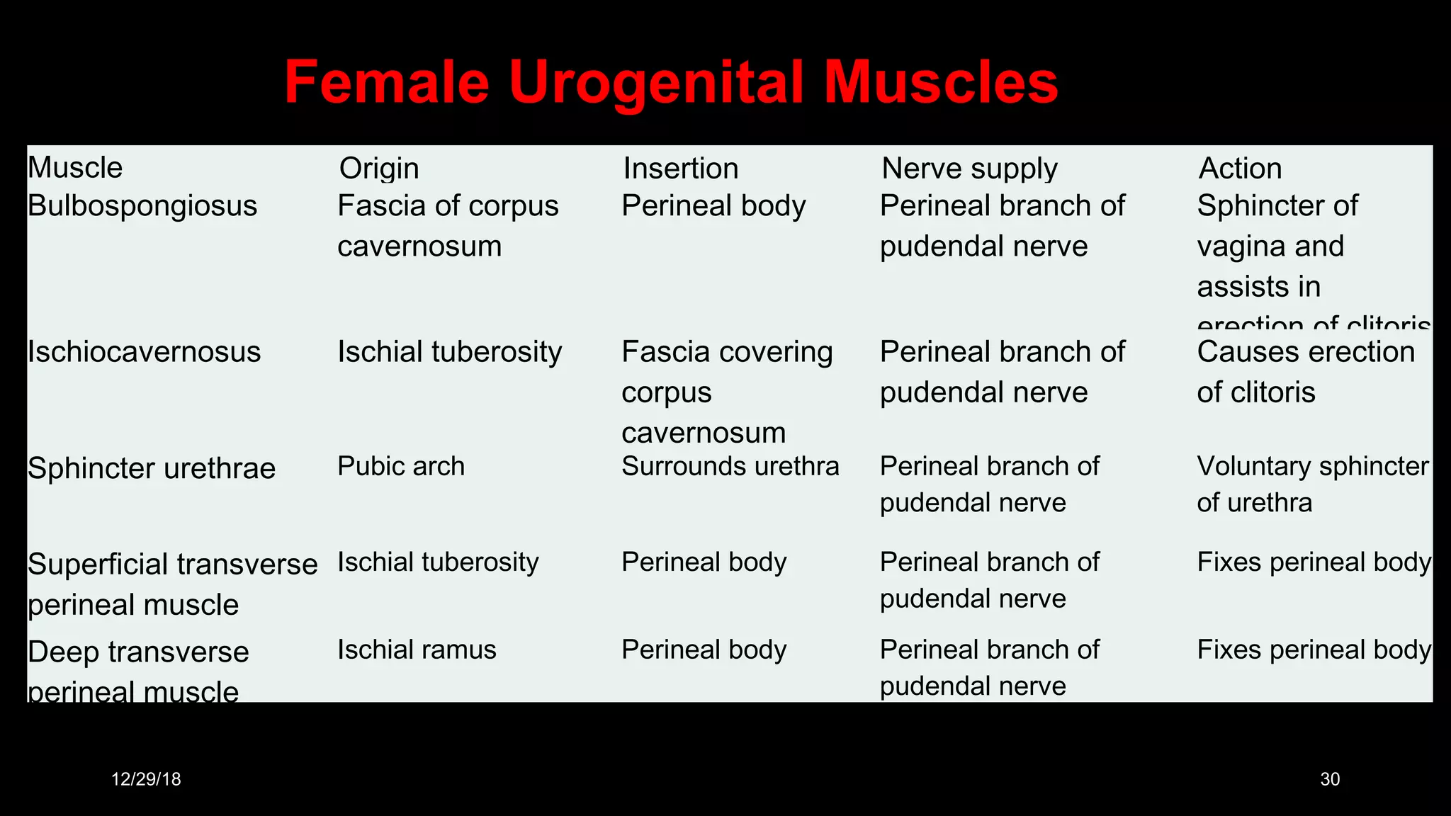 Perineal pouches & urogenital diaphragm | PPT