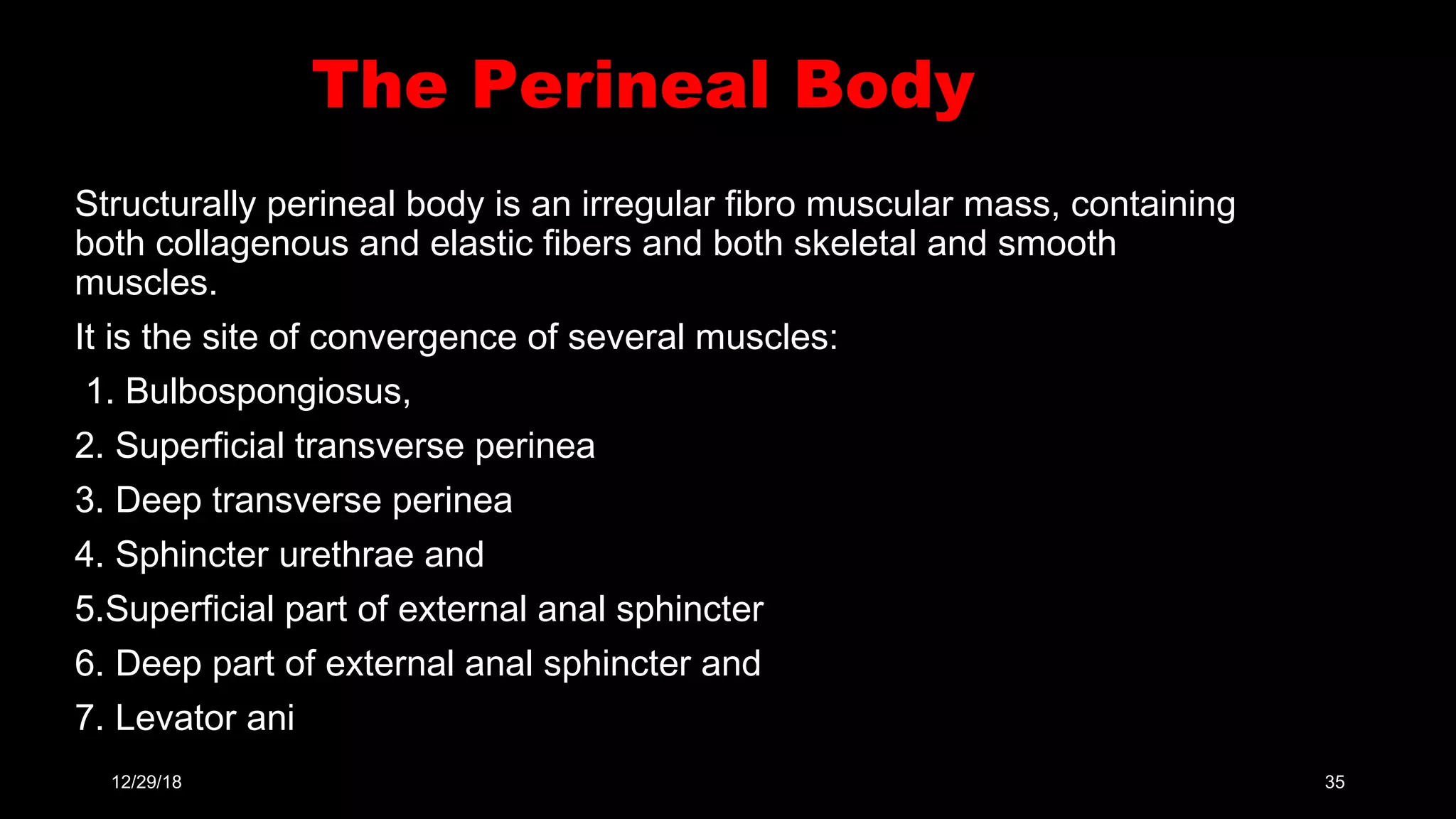 Perineal pouches & urogenital diaphragm | PPT
