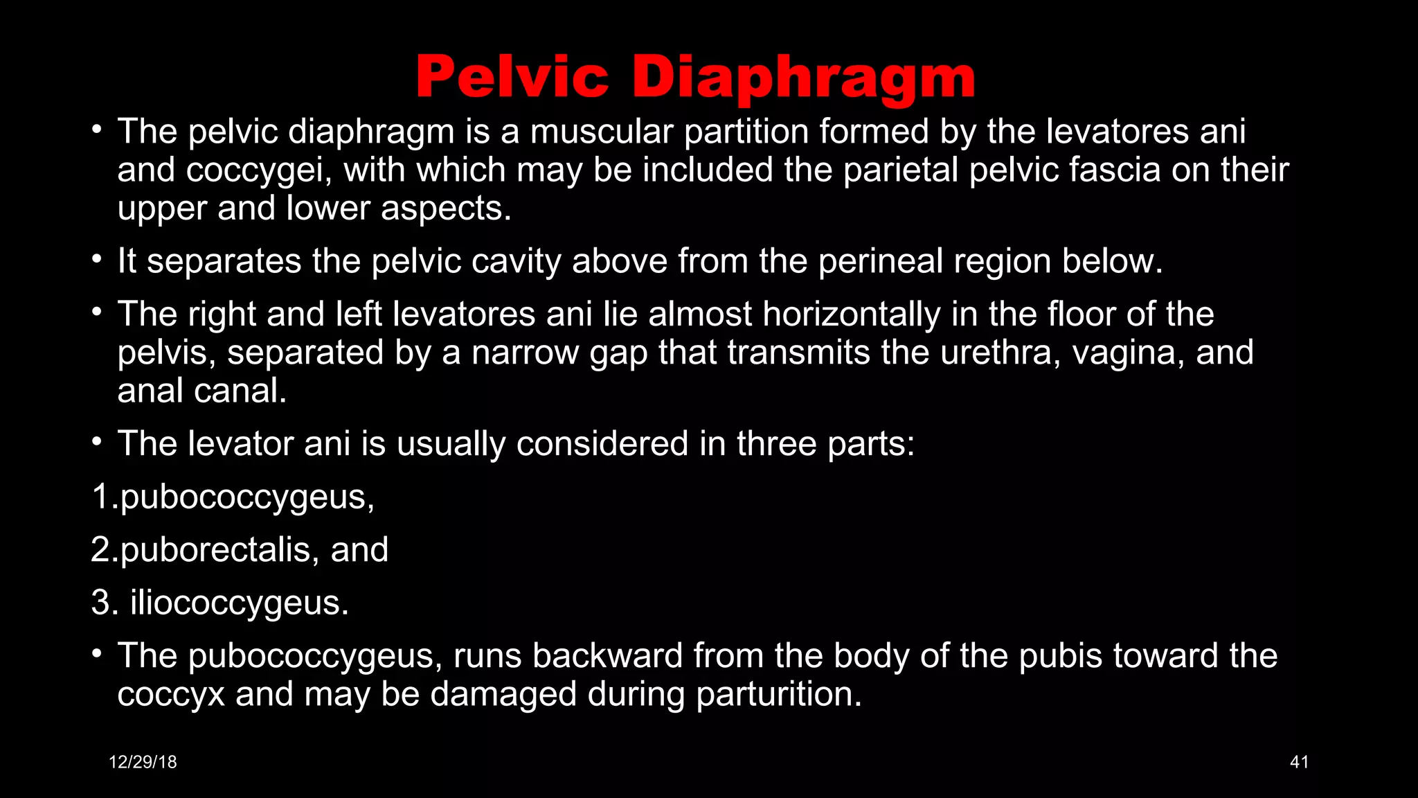 Perineal pouches & urogenital diaphragm | PPT
