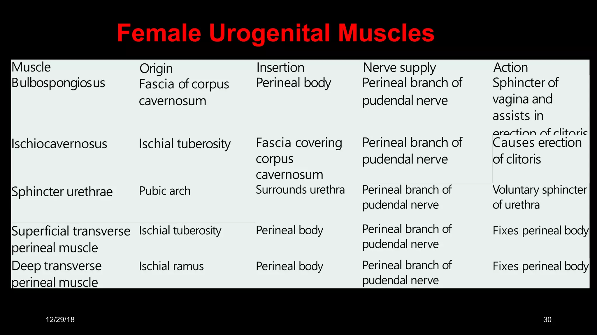 perineal pouches ur diaphragm ppt.pptx