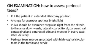 PERINEAL TEARS classification and management | PPTX